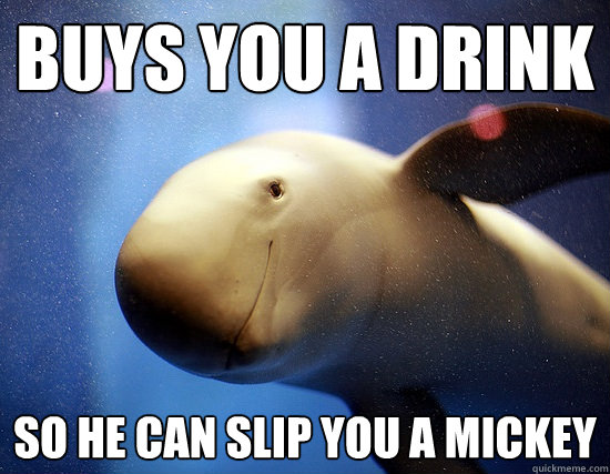 Quickmeme Porpoise