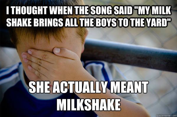 I thought when the song said "my milk shake brings all the boys to the yard" she actually meant ...