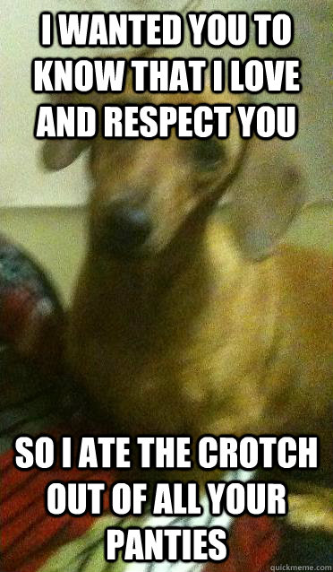 I wanted you to know that I love and respect you So I ate the crotch out of all your panties ...