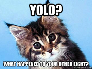 YOLO? What happened to your other eight? - 9 live cat - quickmeme