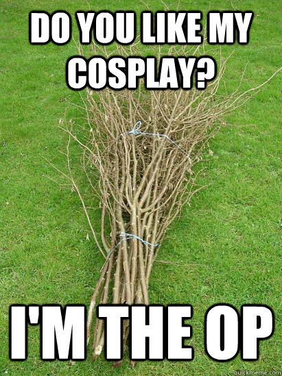 Do you like my cosplay? I'm the op - Misc - quickmeme