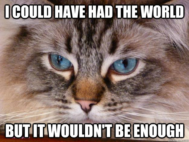I could have had the world But it wouldn't be enough - Misc - quickmeme