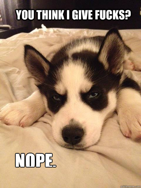 You think I give fucks? Nope. - Misc - quickmeme