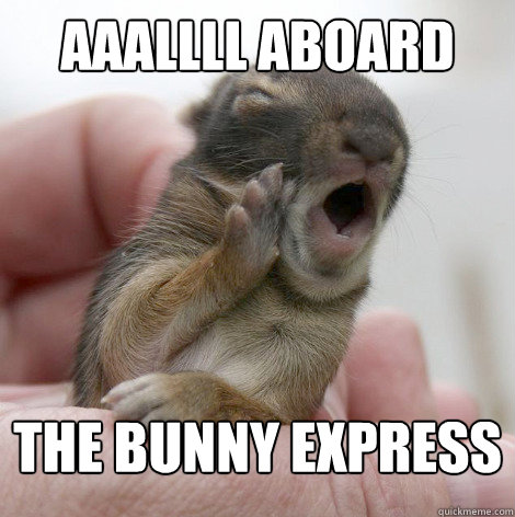 AAALLLL ABOARD THE BUNNY EXPRESS - Misc - quickmeme