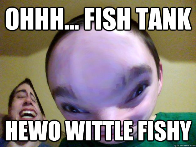 Ohhh... Fish tank Hewo Wittle Fishy - Slightly Retarded Friend - quickmeme