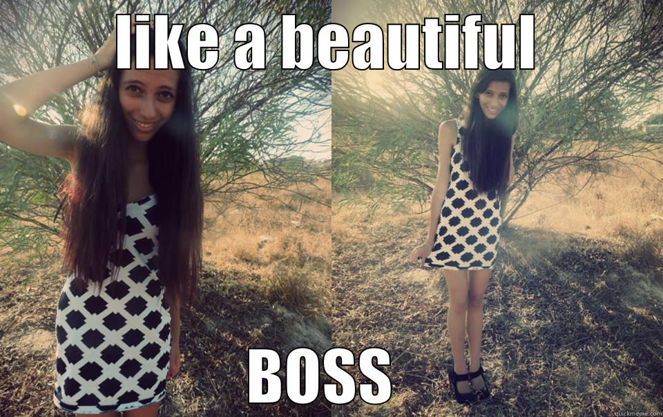 like a boss - quickmeme