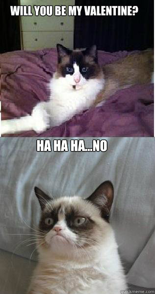 will you be my valentine? ha ha ha...no - grumpy cat nude - quickmeme