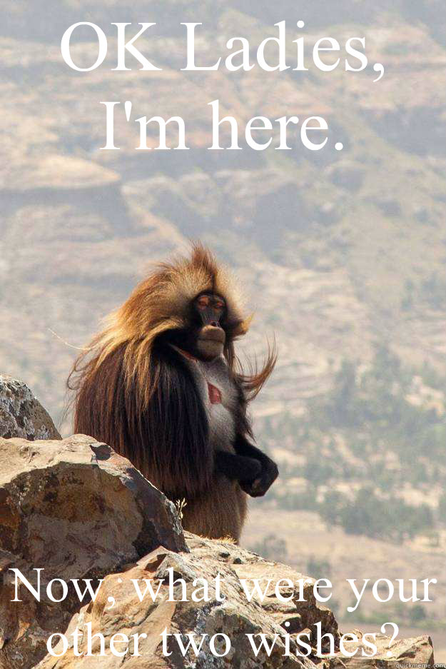 OK Ladies, I'm here. Now, what were your other two wishes? - Smart Dressed Man - quickmeme