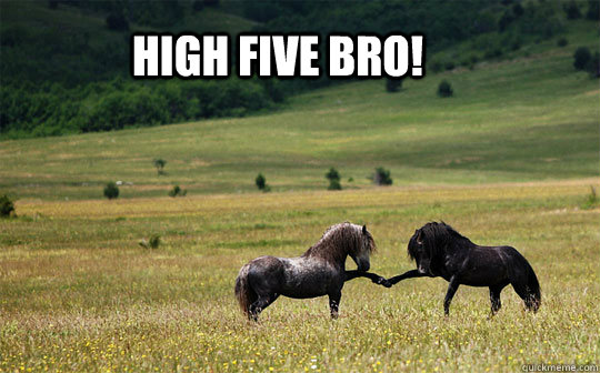 High Five Bro! - Horse Five - quickmeme