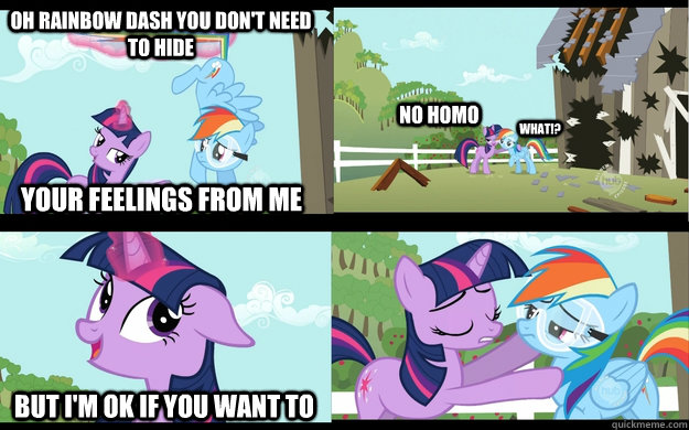 oh rainbow dash you don't need to hide your feelings from me no homo what!? but i'm ok if you ...