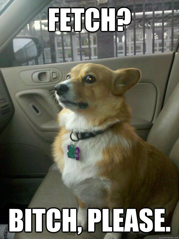 Fetch? Bitch, please. - Lulus wtf face - quickmeme