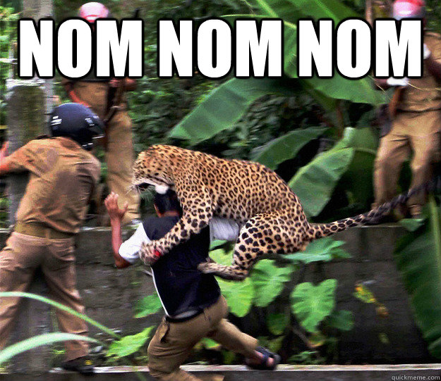 NOM NOM NOM - LEONOMNOM - quickmeme