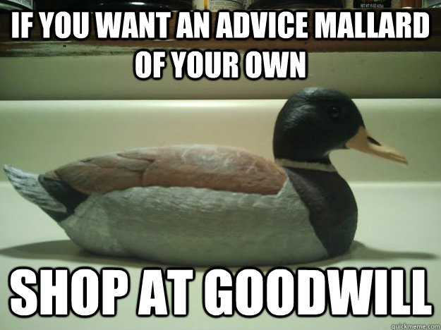 If you want an advice mallard of your own shop at goodwill - Misc - quickmeme