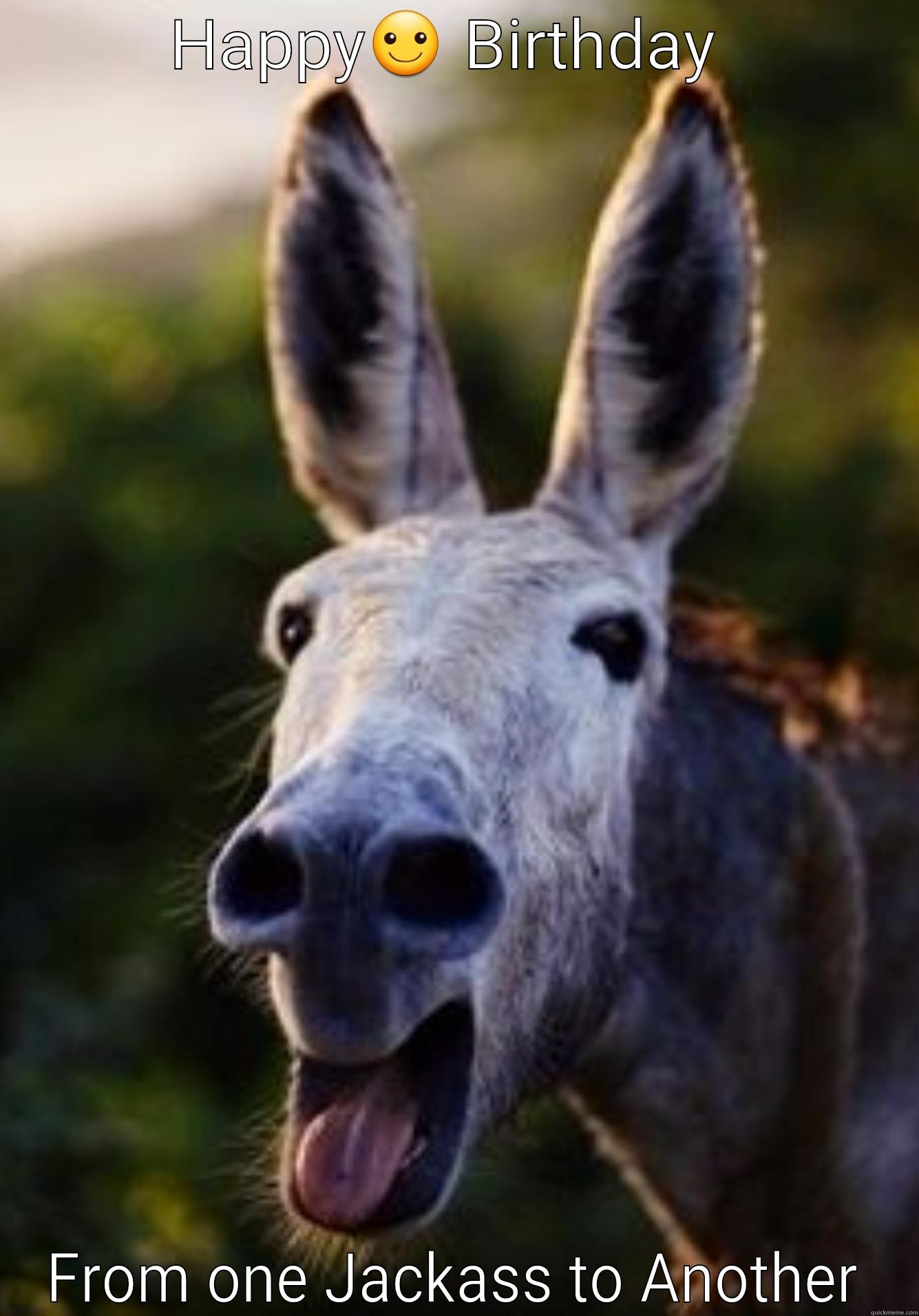 Happy☺ Birthday Jackass - quickmeme