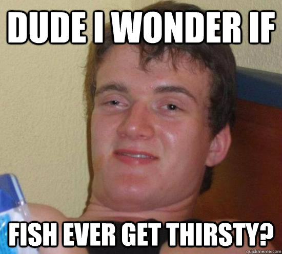 dude i wonder if fish ever get thirsty? - High guy - quickmeme