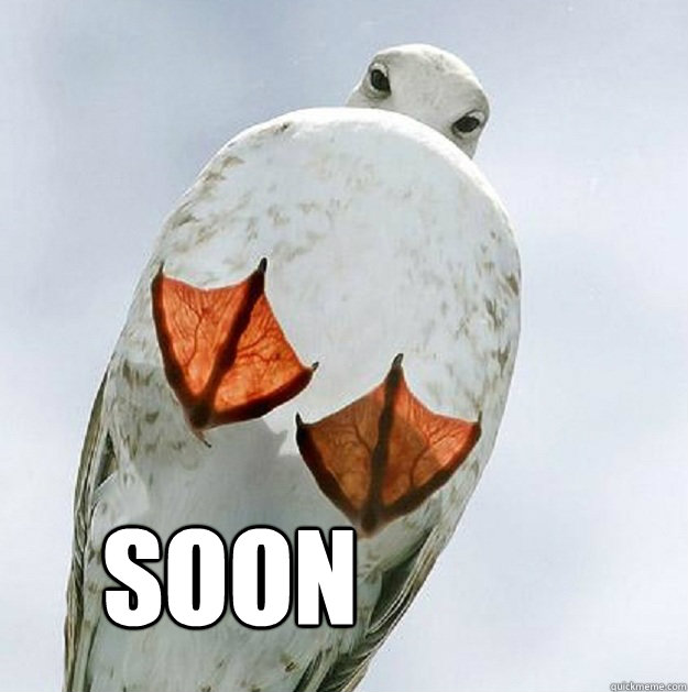 soon - Misc - quickmeme