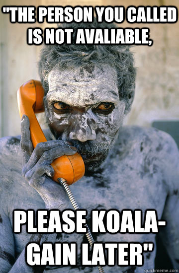 "The person you called is not avaliable, please koala-gain later" - Misc - quickmeme