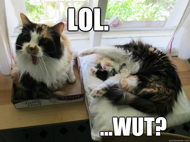 LOL. ...wut? - LOL...wut - quickmeme
