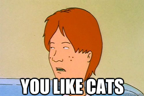 You like cats - dooly - quickmeme