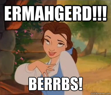 ermahgerd!!! berrbs! - Misc - quickmeme