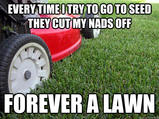 Every time I try to go to seed they cut my nads off forever a lawn - Forever a Lawn - quickmeme