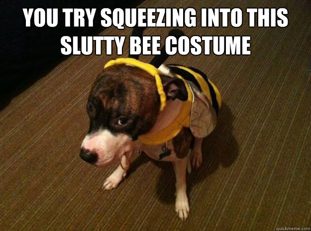 You try squeezing into this slutty bee costume - Misc - quickmeme