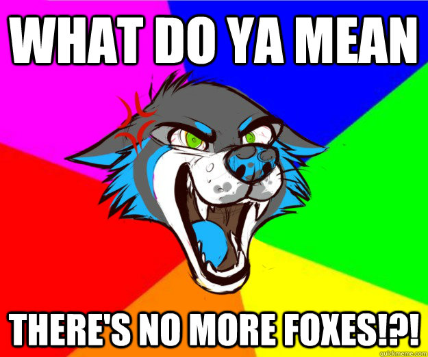 what do ya mean There's no more foxes!?! - BellyWolf - quickmeme