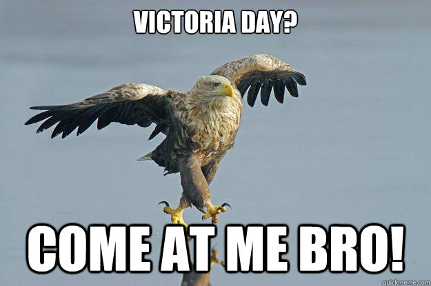 victoria day? come at me bro! - Eagle Come at me - quickmeme