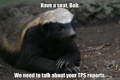 Have a seat, Bob. We need to talk about your TPS reports. - Honey Badger cares - quickmeme