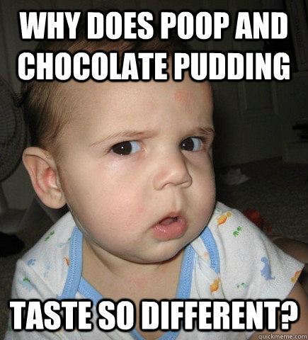 Why does Poop and chocolate pudding taste so different? - Misc - quickmeme