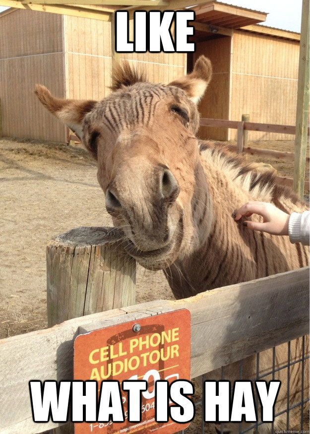 LIKE What is hay - Trippin donkey - quickmeme