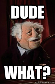 Dude What? - Stoned muppet - quickmeme
