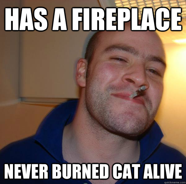 has a fireplace never burned cat alive - Misc - quickmeme