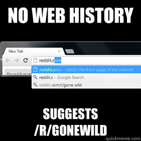 No web history suggests /r/gonewild - GG Google Chrome - quickmeme