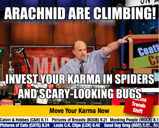 arachnid are Climbing! Invest your Karma in spiders and scary-looking bugs - Misc - quickmeme