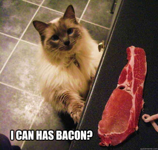 I CAN HAS BACON? - I CAN HAS BACON - quickmeme