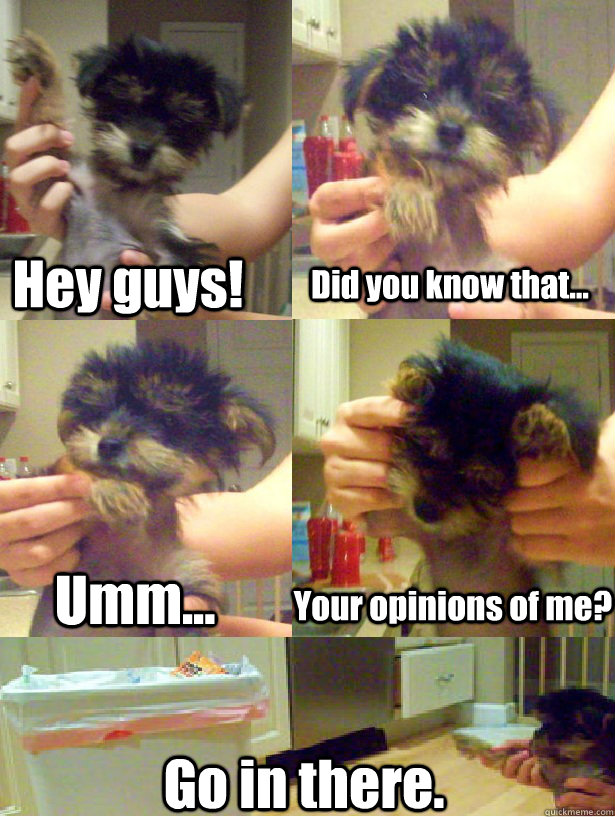 Hey guys! Did you know that... Umm... Your opinions of me? Go in there. - Misc - quickmeme