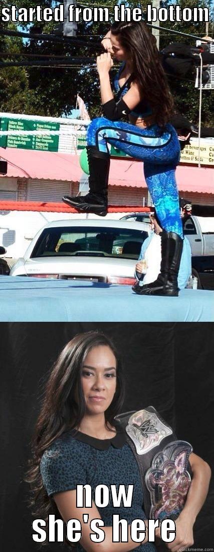 aj lee started from the bottom - quickmeme