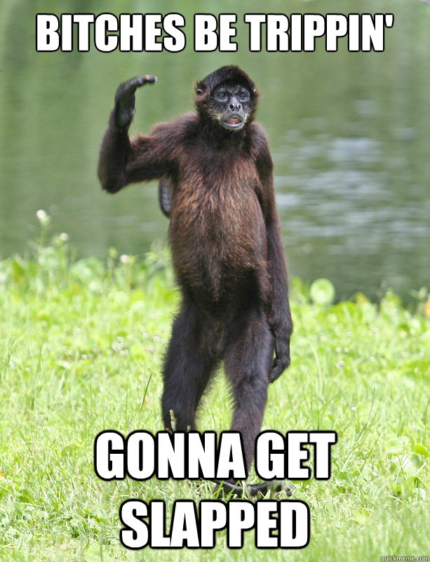 Bitches be trippin' Gonna get slapped - Too Short Monkey - quickmeme