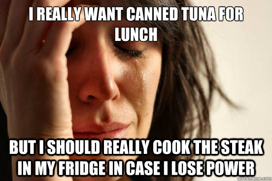 I really want canned tuna for lunch but I should really cook the steak in my fridge in case i ...