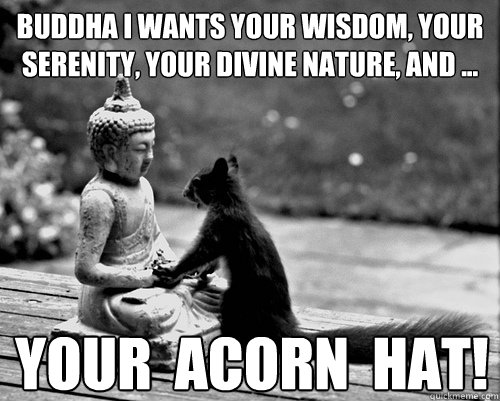 Buddha I wants your WIsdom, Your serenity, your divine nature, and ... YOUR ACORN HAT! - Buddha ...