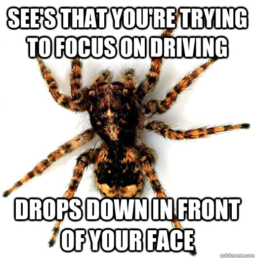 See's that you're trying to focus on driving Drops down in front of your face - Scumbag Spider ...