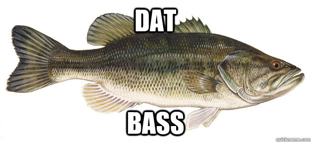 DAT BASS - Misc - quickmeme