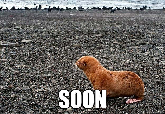 SOON - Seal SOON - quickmeme
