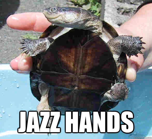 jazz hands - broadway turtle - quickmeme