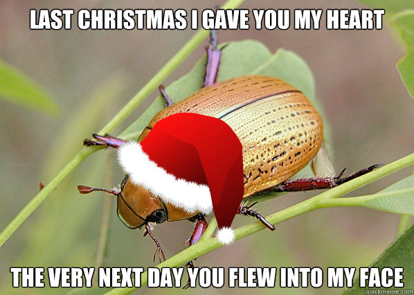 LAST CHRISTMAS I GAVE YOU MY HEART THE VERY NEXT DAY YOU FLEW INTO MY FACE - Last Christmas ...