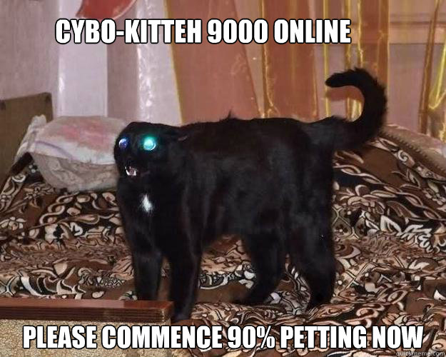 Cybo-kitteh 9000 online Please commence 90% petting now - Cybo-kitteh - quickmeme