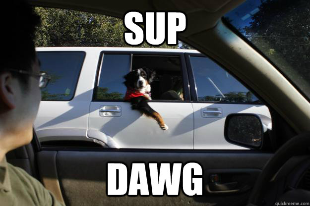 Sup Dawg - SupDawg - quickmeme
