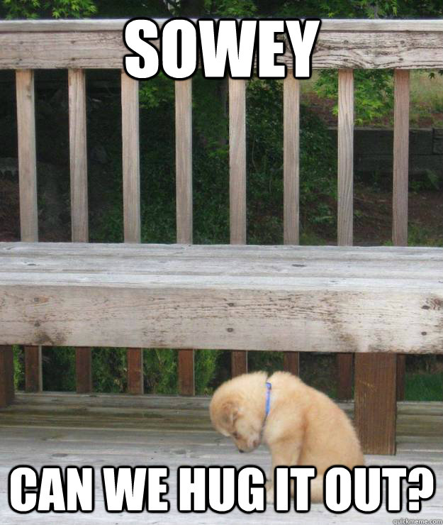 SOWEY Can we hug it out? - SORRY BABY - quickmeme
