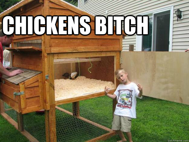 Chickens Bitch - Chickens - quickmeme